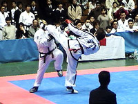 ITF-JAPAN OFFICIAL HP